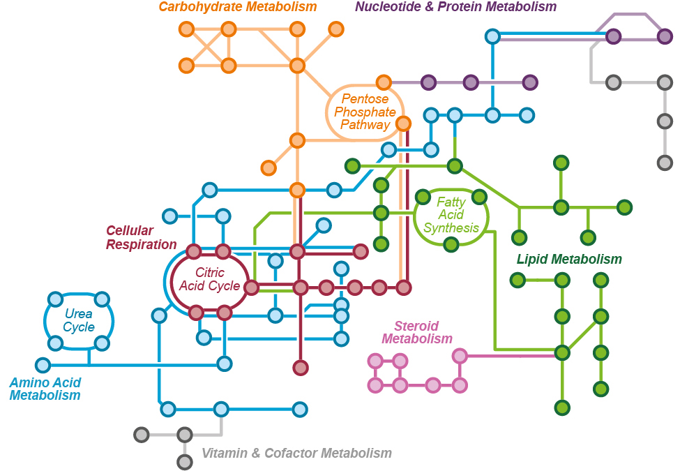 2021 Metabolomics Workshop | Mass Spectrometry Research Facility