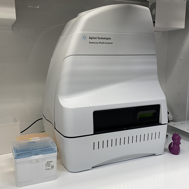 Seahorse Cell Analyser | Mass Spectrometry Research Facility